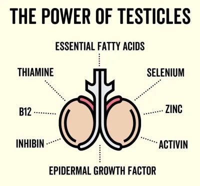 Buy NXGEN Grass Fed Bull Testicle Capsules Online @ Yo Keto AU